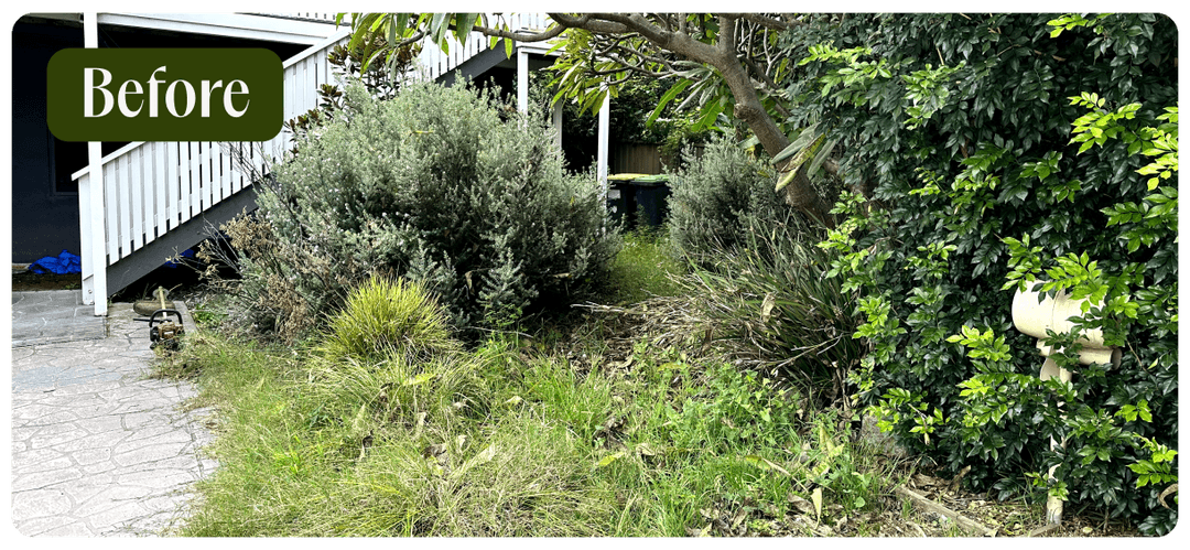Illawarra Yard Maintenance - Lawn Mowing & Garden Services in Wollongong & Shellharbour